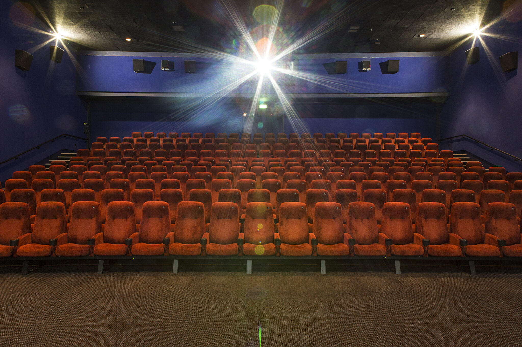 FACT | Victimless Leather (2004)